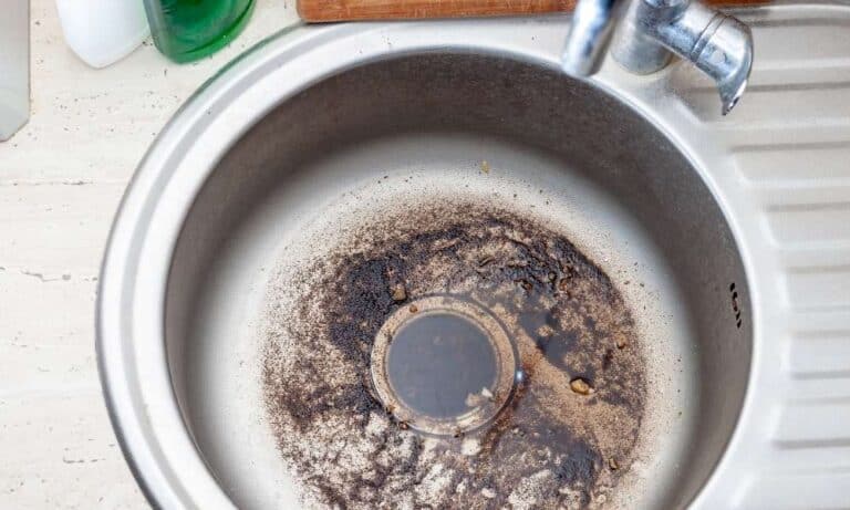 How to Unclog a Double Kitchen Sink with a Garbage Disposal