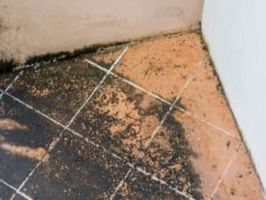 How To Replace Subfloor In Bathroom: 17 Best Tips